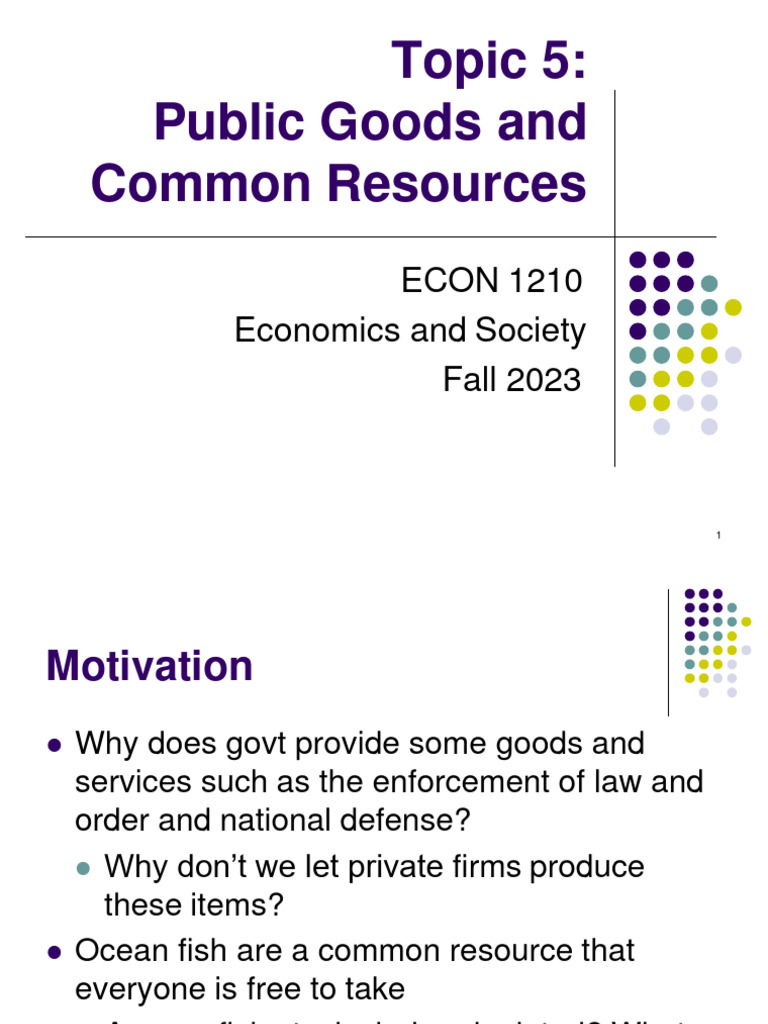 Public Goods and Common Resources Explained | PDF | Goods | Externality