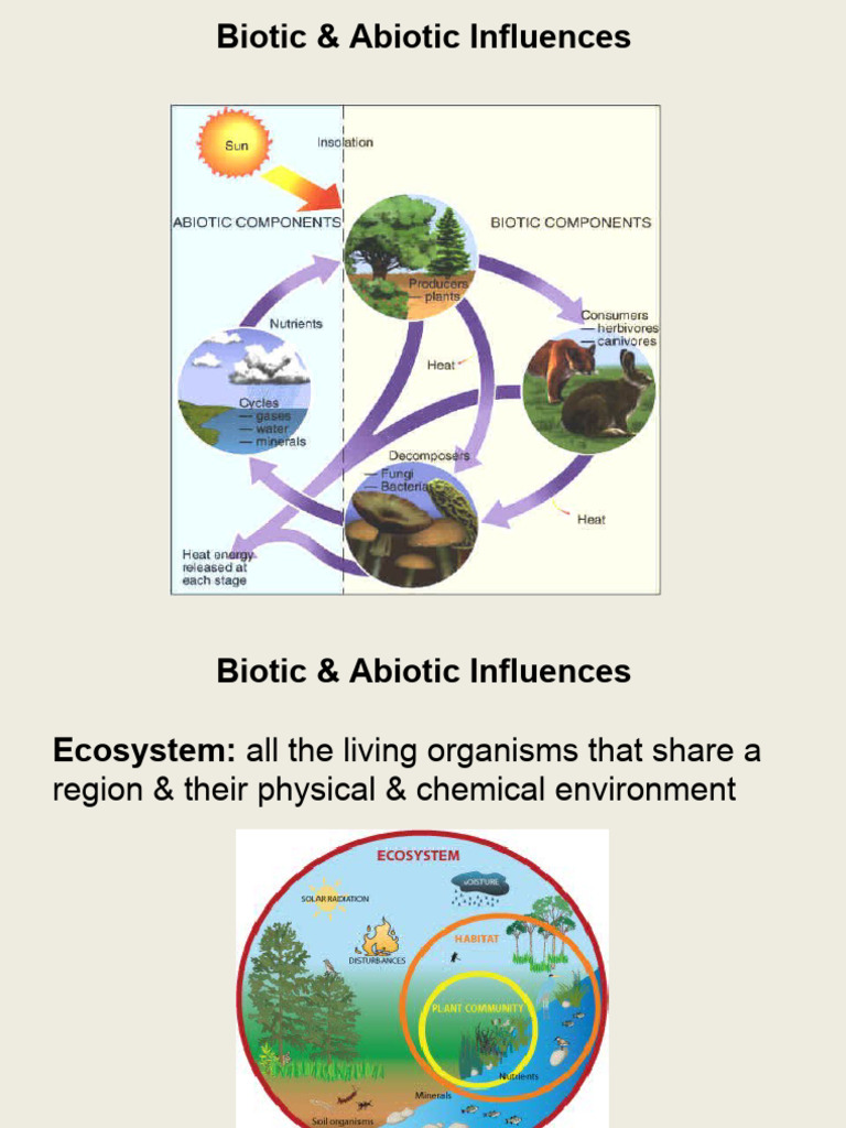 Lecture 5. Ecosystem Biotic and Abiotic Factors | PDF | Ecosystem | Soil