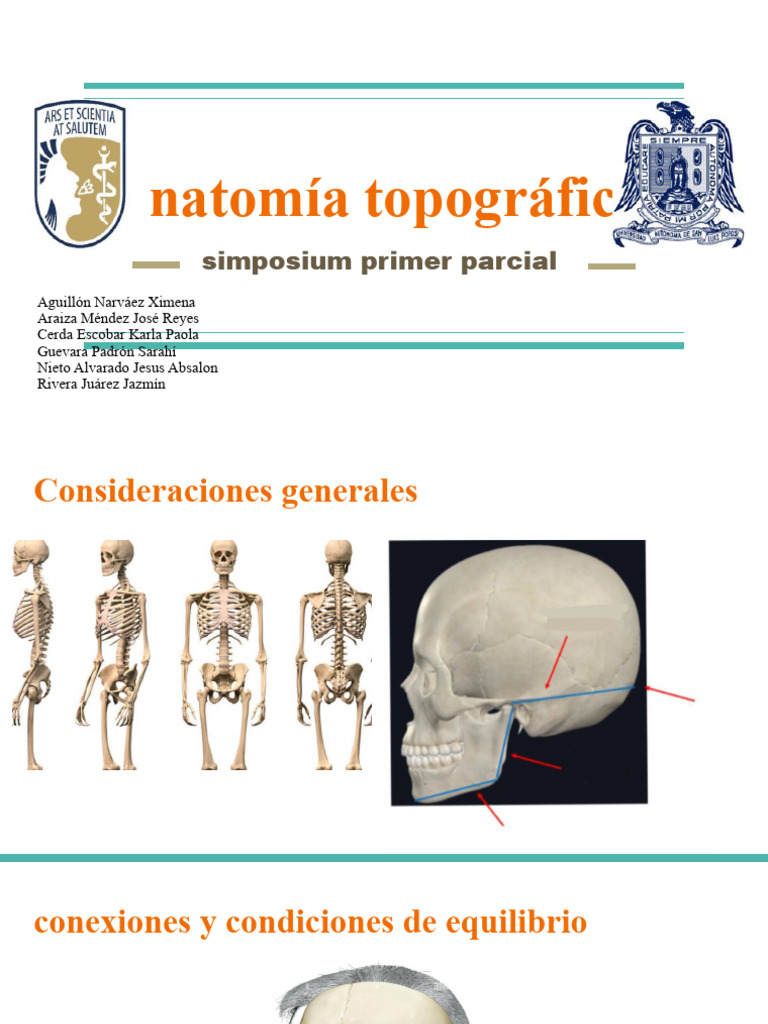 Presentacion Toppo Final | PDF