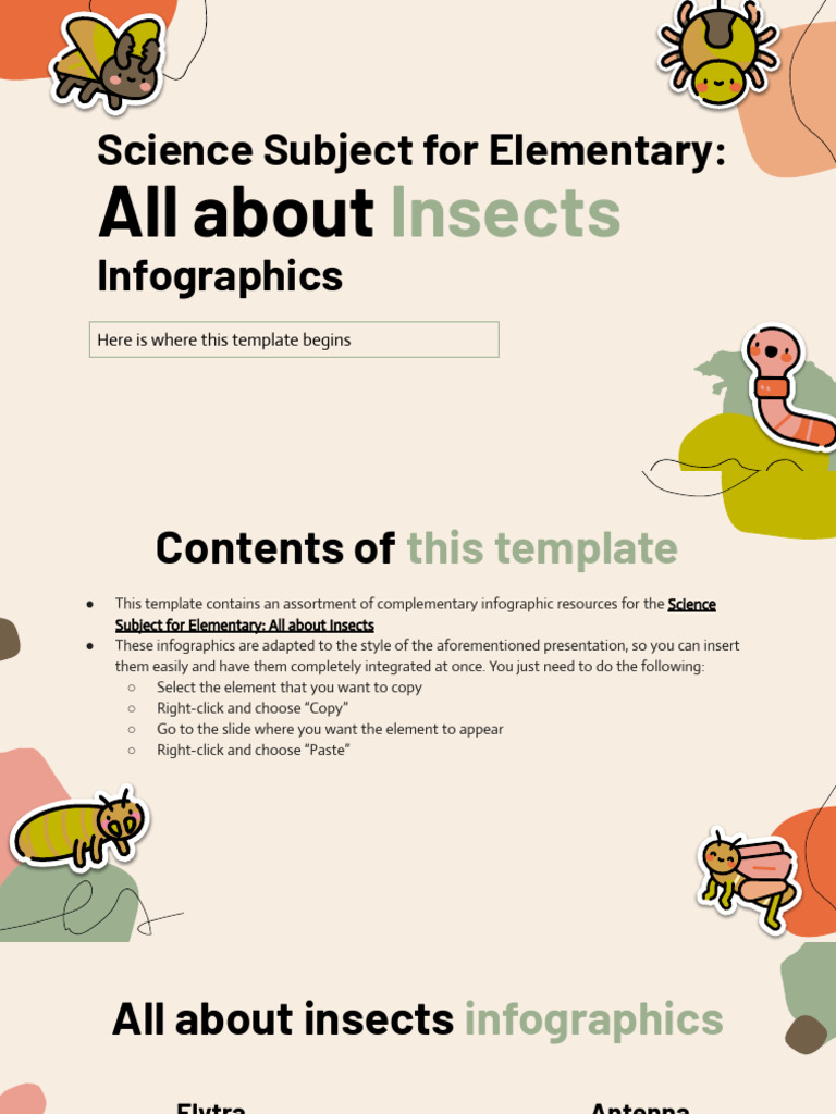 Salinan Dari Science Subject For Elementary - All About Insects ...