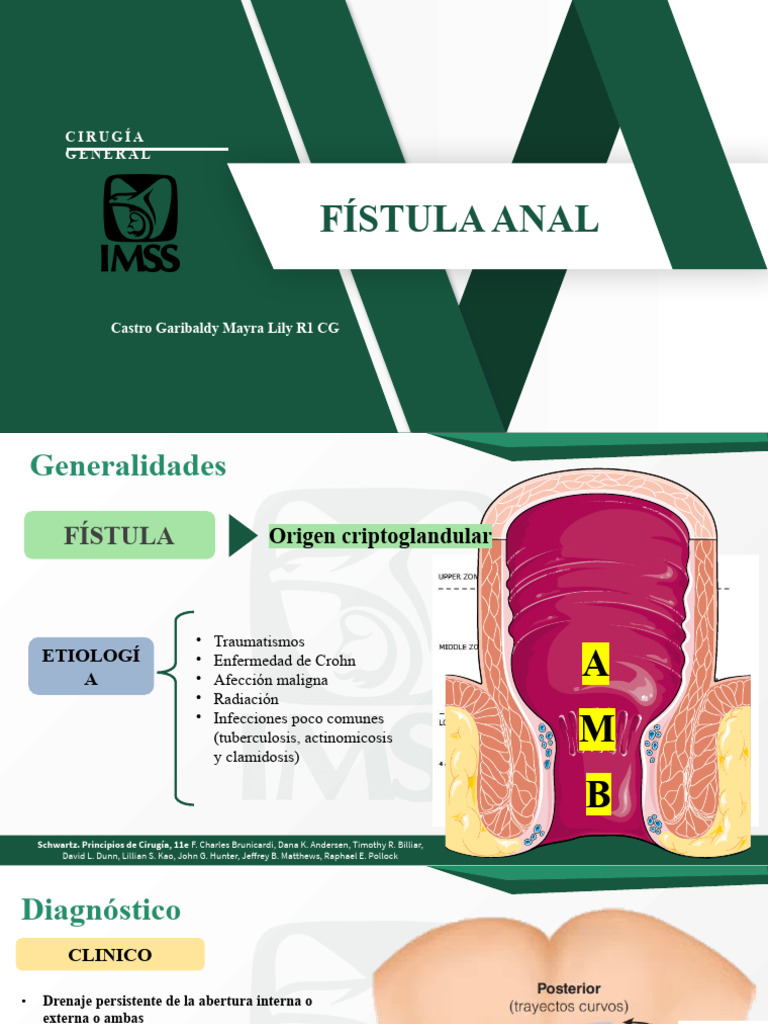 fístula anal presentación ppt | PDF | Especialidades Medicas | Ciencias de la Salud