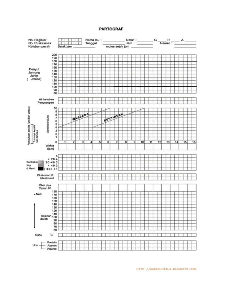 Lembar Partograf | PDF