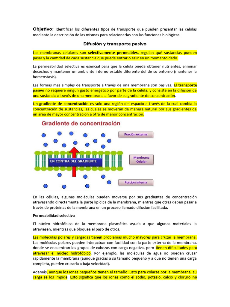Difusión y Transporte Pasivo B | PDF | Membrana celular | Difusión