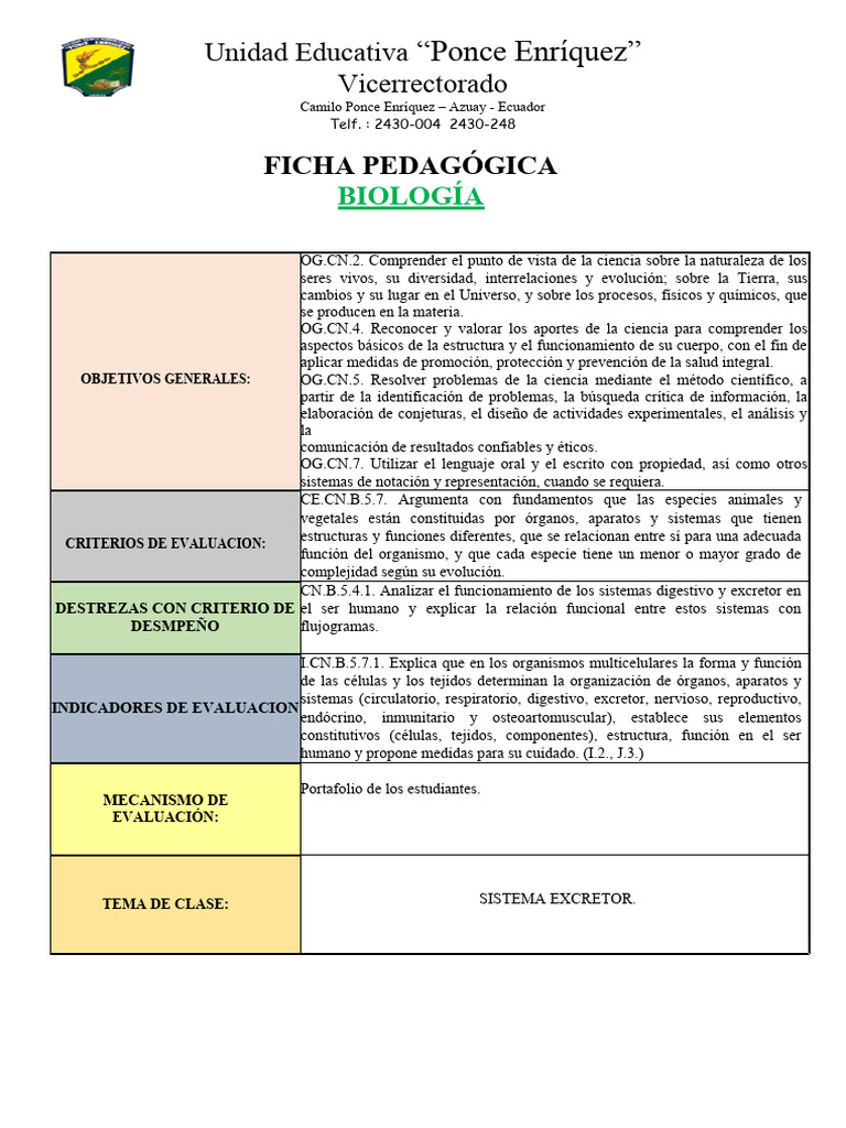 2C Sistema Excretor Nee 2 | PDF | Science | Evaluación