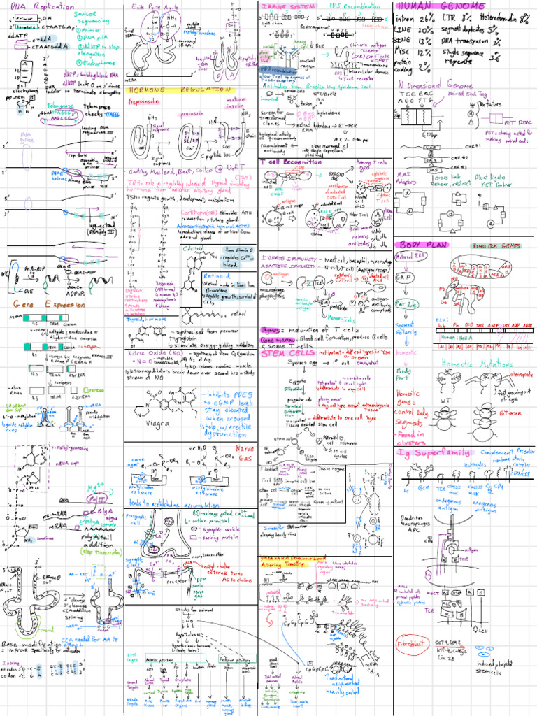 Advanced Biochemistry II Cheat Sheet Test 2 | PDF | Biomolecules ... Advanced Biochemistry II Cheat Sheet Test 2 | PDF | Biomolecules ...