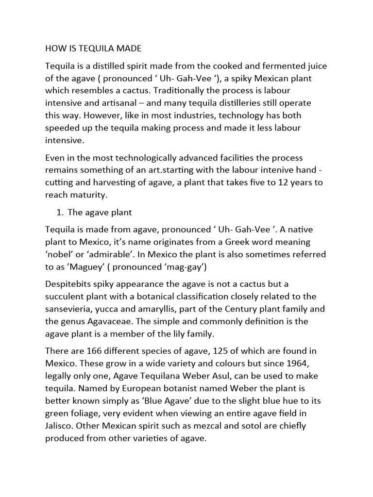 How Is Tequila Made | PDF | Plants | Botany