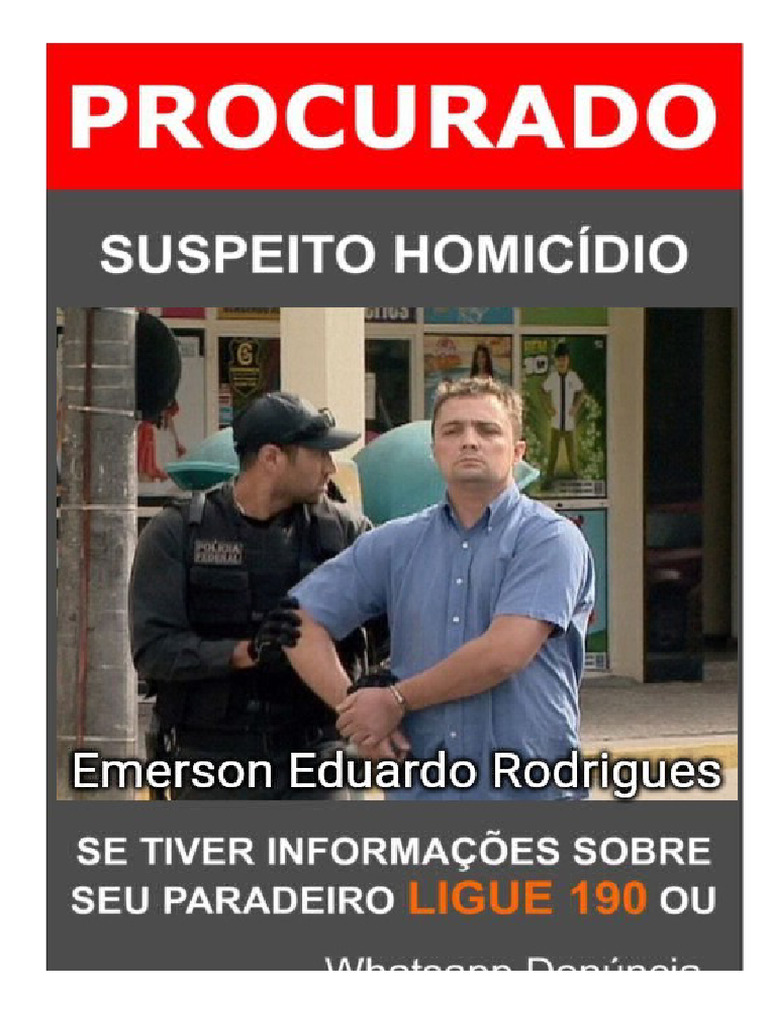 Emerson Eduardo Rodrigues Setim: Currículo | PDF