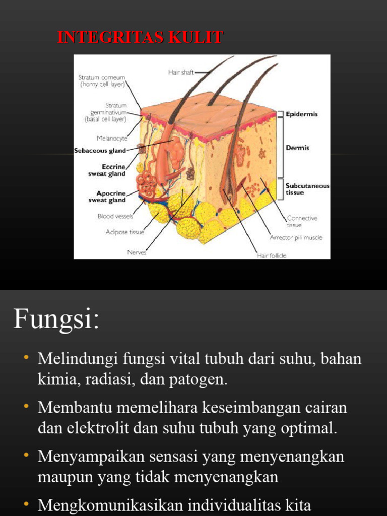 Integritas-Kulit | PDF