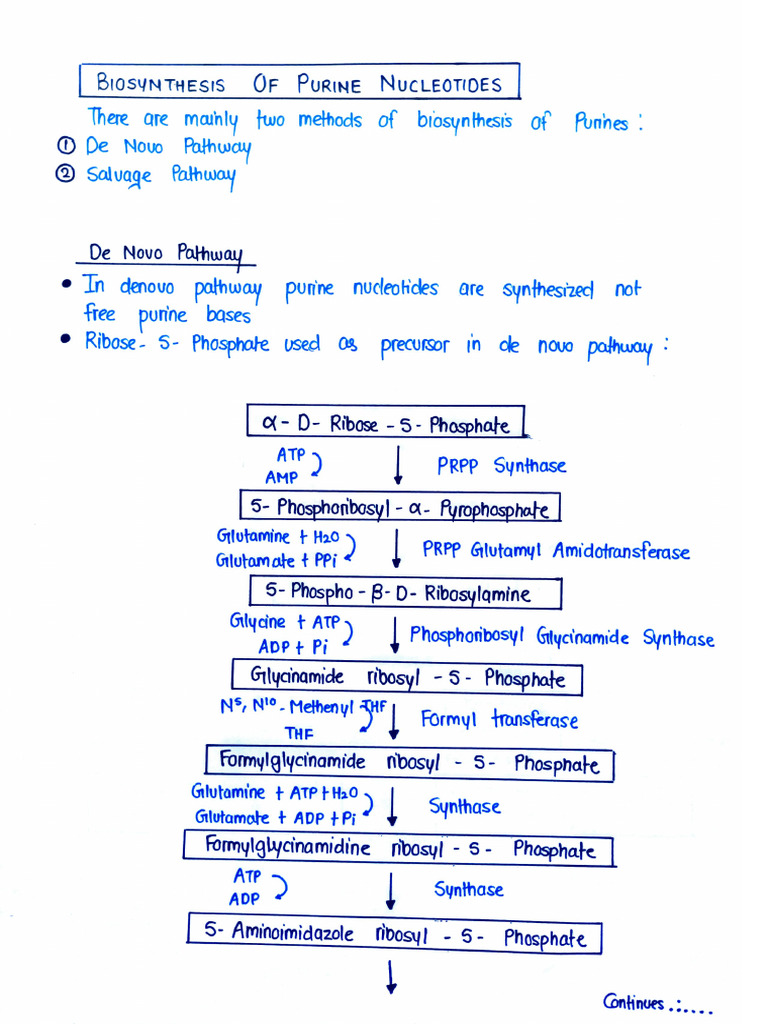 Biosynthesis of Purine and Pyrimidine Nucleotides | PDF