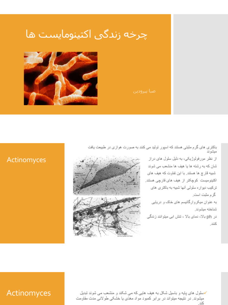 Actinomyces Pdf
