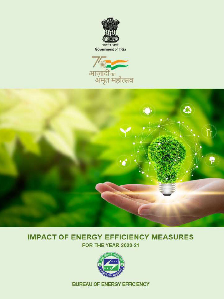 BEE Impact Final Report 2020-2021 | PDF