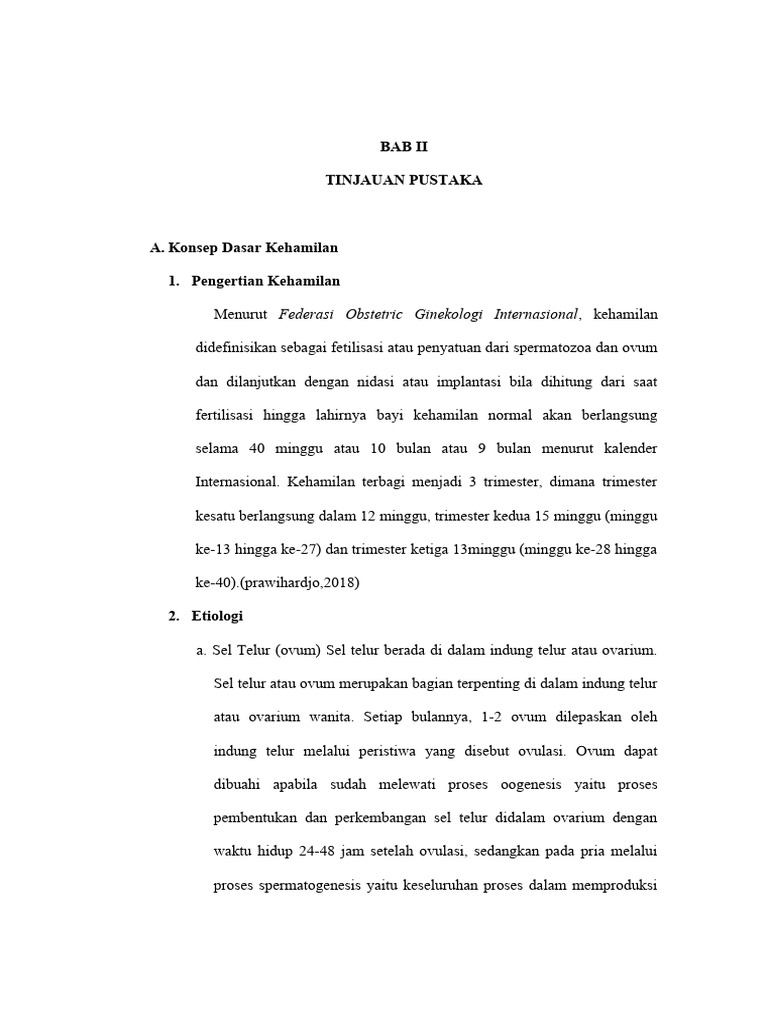 LTa Kebidanan, Bab II | PDF