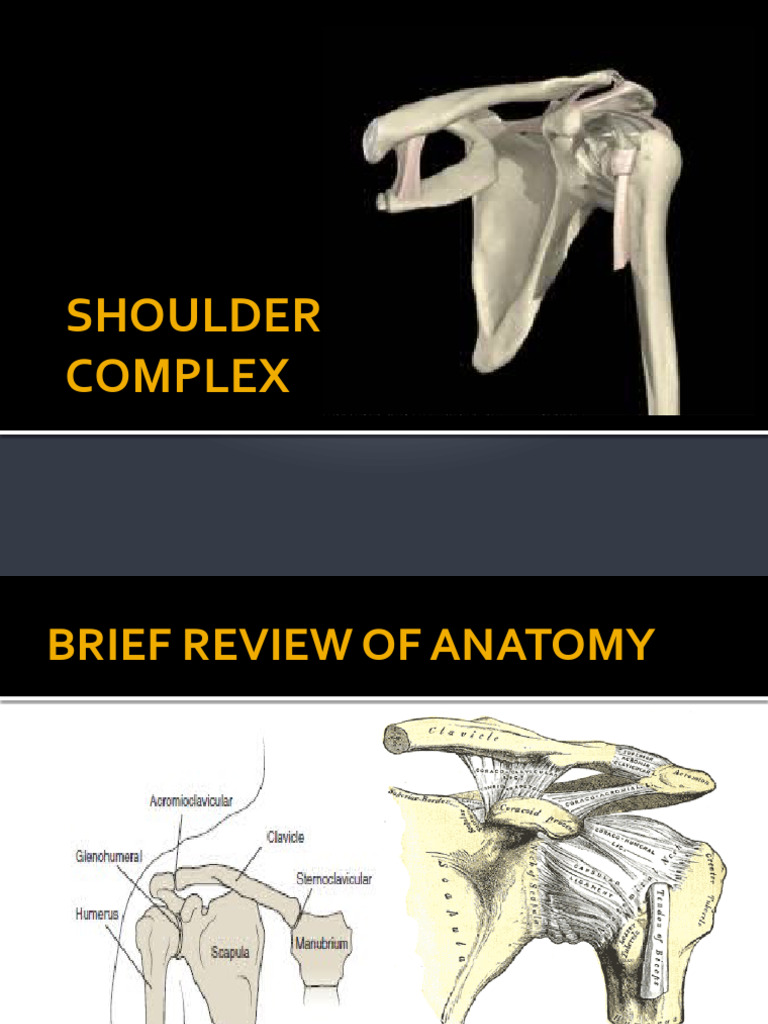 TX301 SHOULDERcomplex | PDF