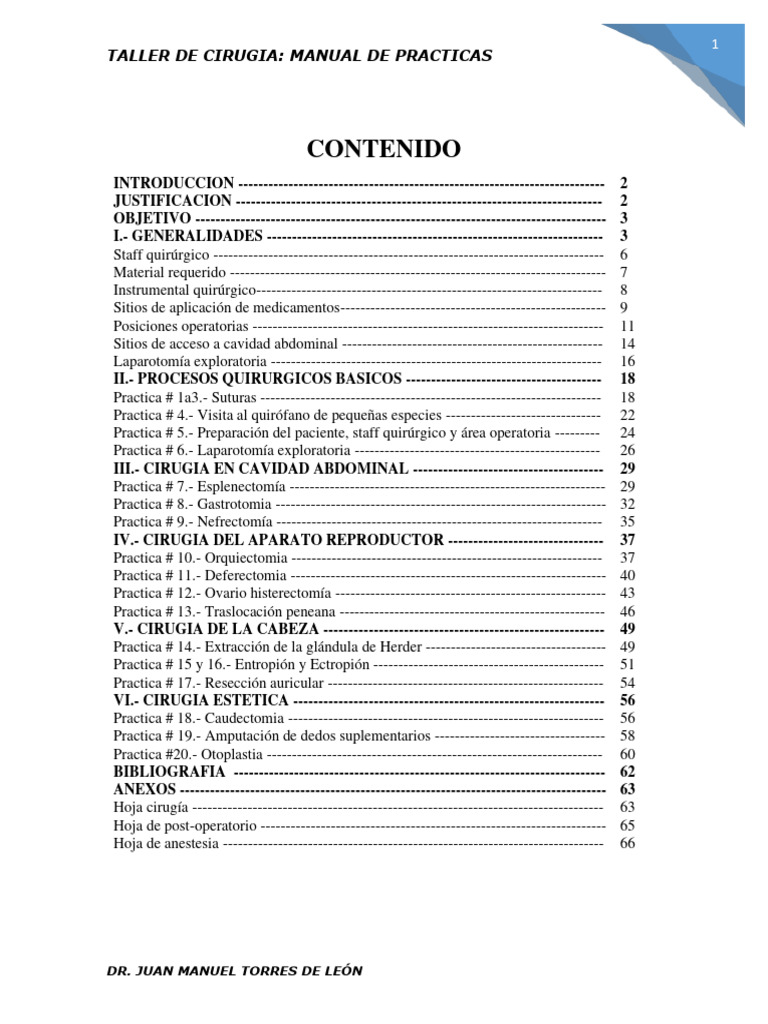 Manual Practicas Final | PDF