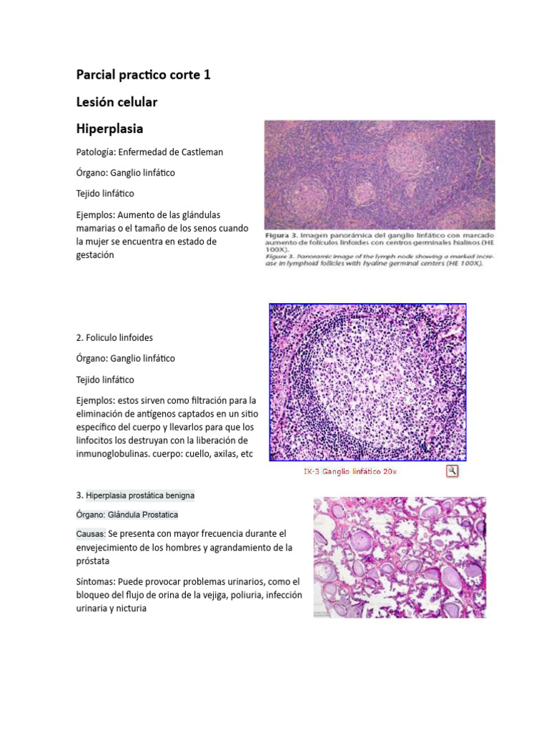 Parcial Practico Corte 1 | PDF | Embolia | Inflamación