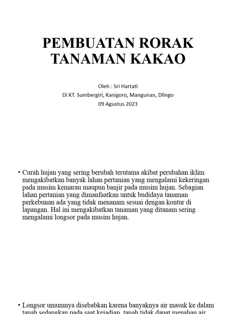 Pembuatan Rorak Dan Sarungisasi Pada Tanaman Kakao | PDF
