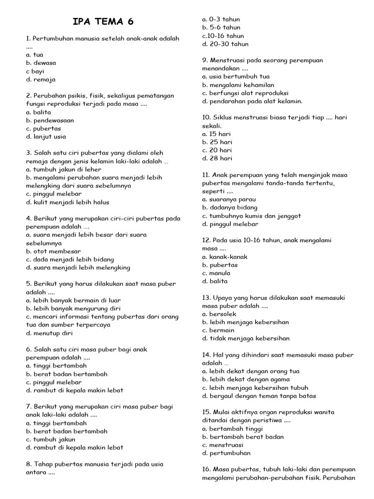 Ipa Tema 6 | PDF