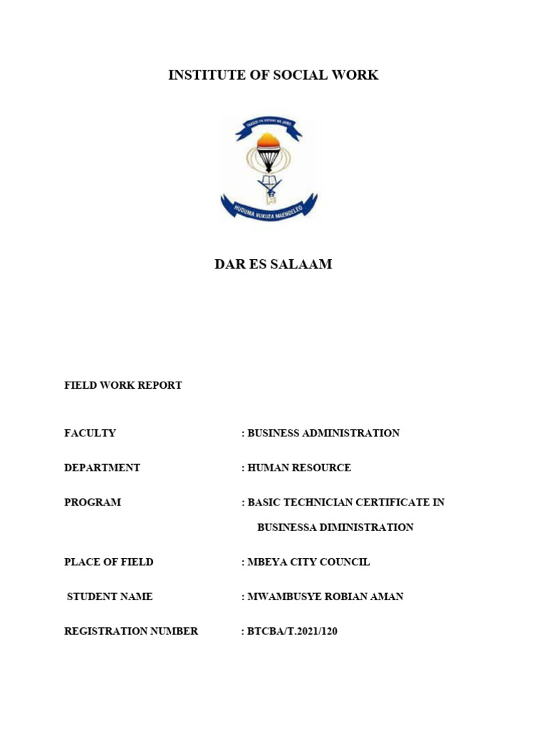 Report Ya Msabato | PDF | Career & Growth | Business