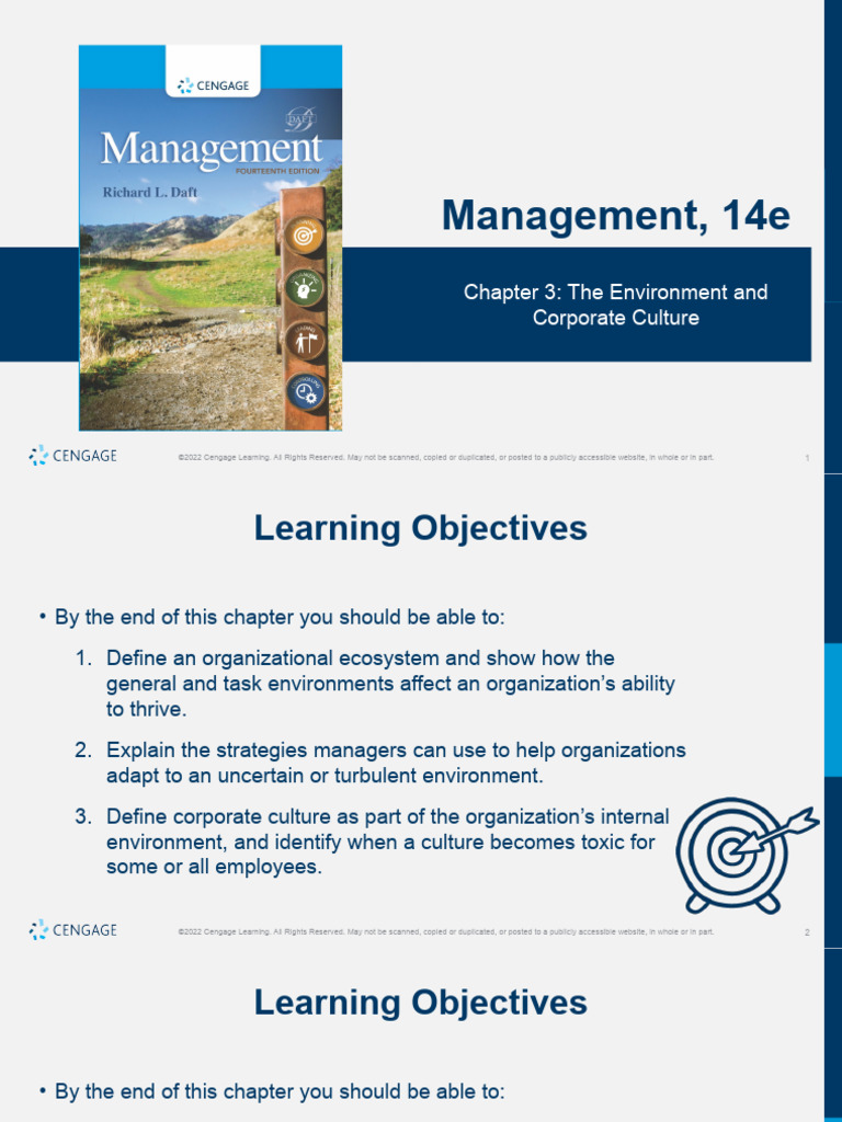 Chapter 3,R, Daft | PDF | Organizational Culture | Natural Environment