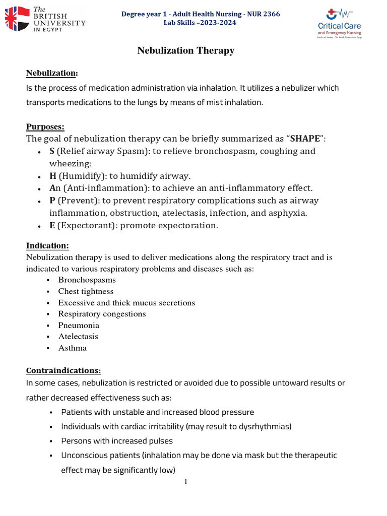 Nebulization Therapy Procedure Checklist | PDF