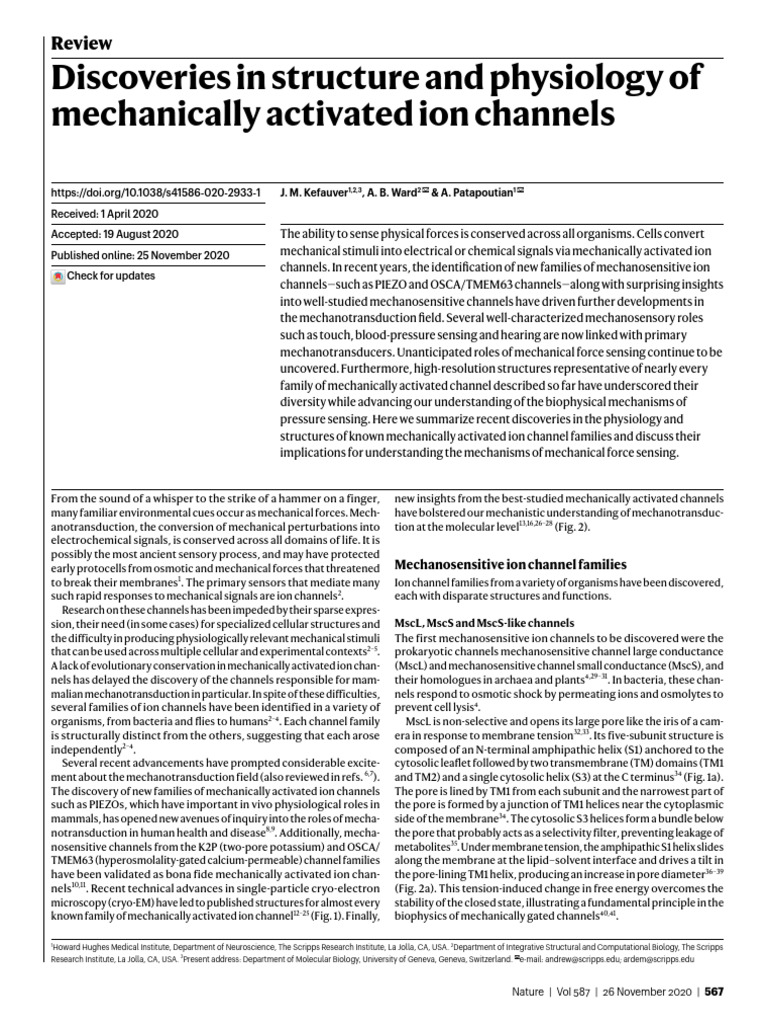 Mechanosensitive Ion Channels | PDF | Ion Channel | Cell Membrane