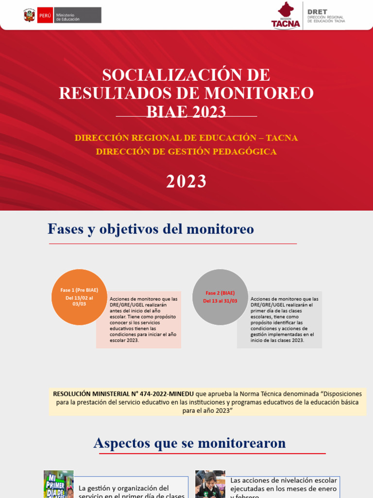 Socialización de Resultados BIAE 2023 | PDF