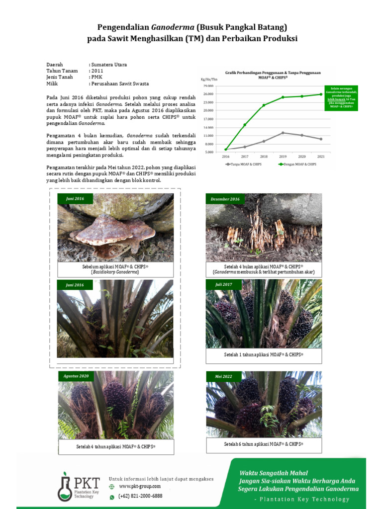 Pengendalian Ganoderma (Busuk Pangkal Batang) Pada Sawit Menghasilkan (TM) Dan Perbaikan ...
