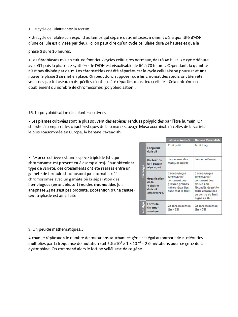 Corrections Exercices MUtation de l'ADN | PDF