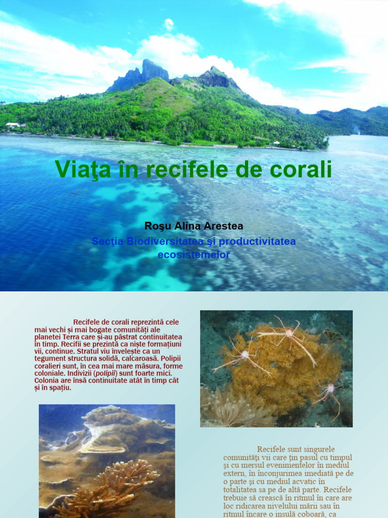 Via A N Recifele de Corali | PDF