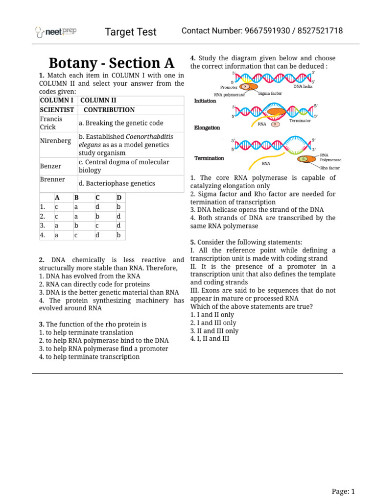 Target Test | PDF | Dominance (Genetics) | Ribosomal Rna