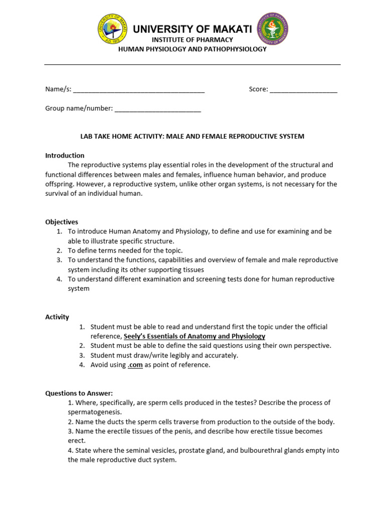 Reproductive System Study Guide | PDF | Human Body | Reproductive System