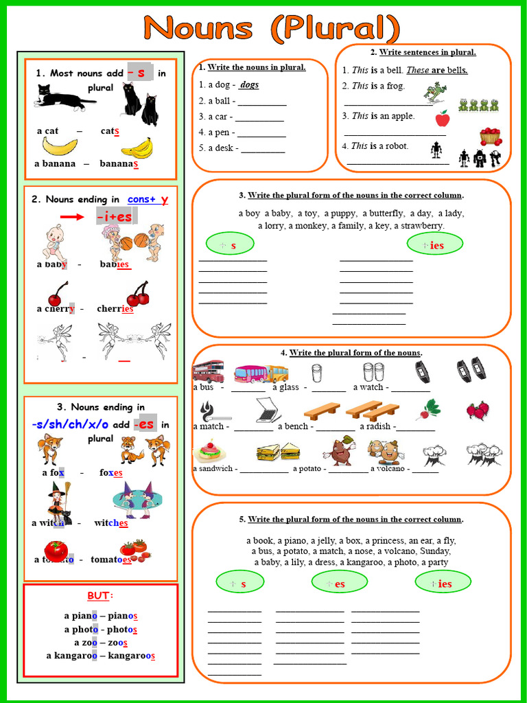 Plural Nouns for ESL Learners | PDF