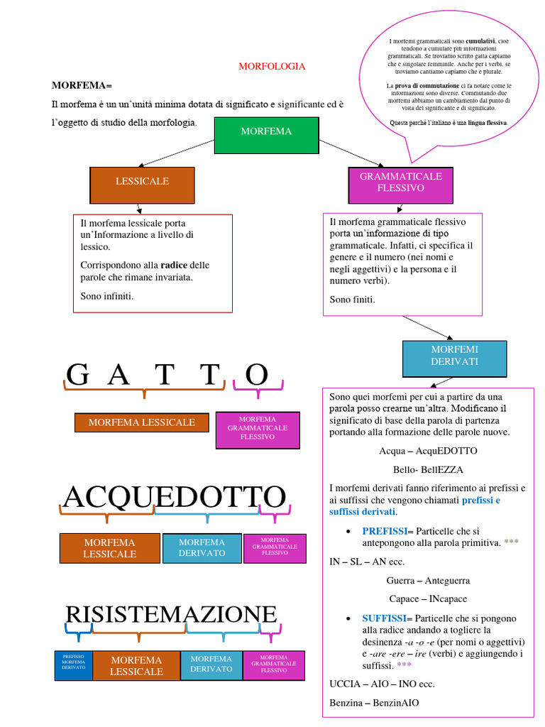 MORFOLOGIA | PDF