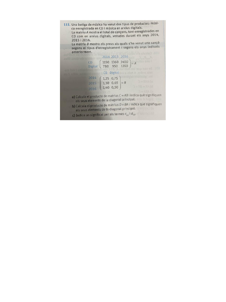 Problemes Matrius | PDF