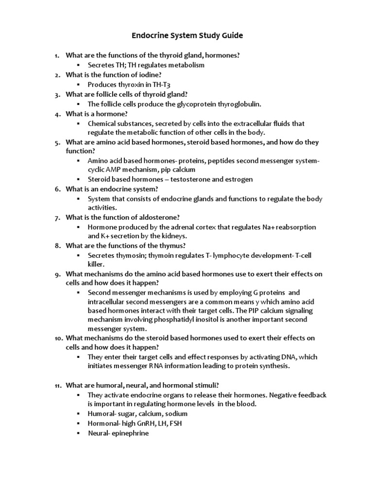 Endocrine System Study Guide | Download Free PDF | Hormone | Adrenal Gland