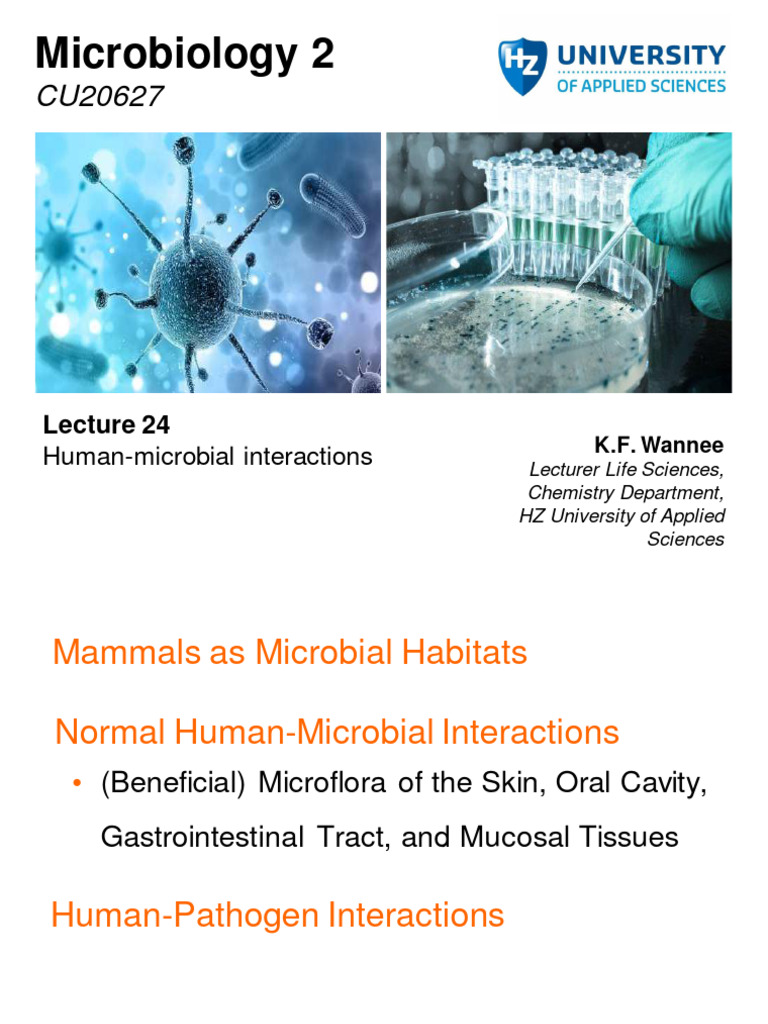 Lecture 24, Human-Microbial Interactions - EN | PDF | Gastrointestinal ...
