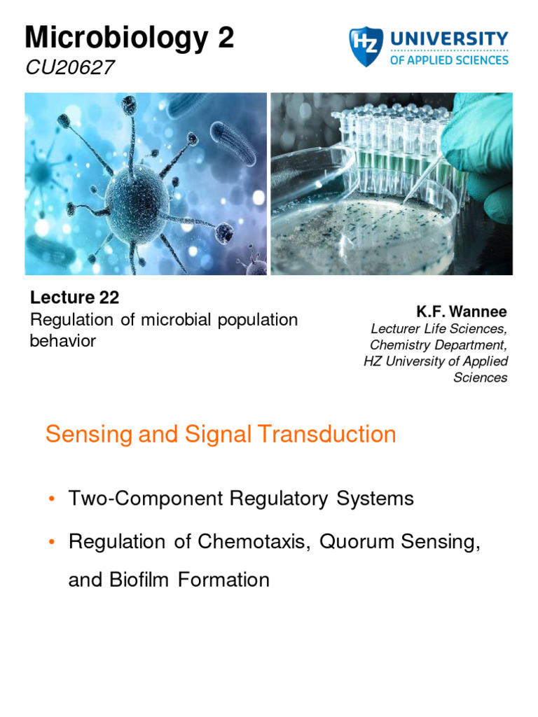 Microbial Behavior Regulation | PDF | Biofilm | Microbiology