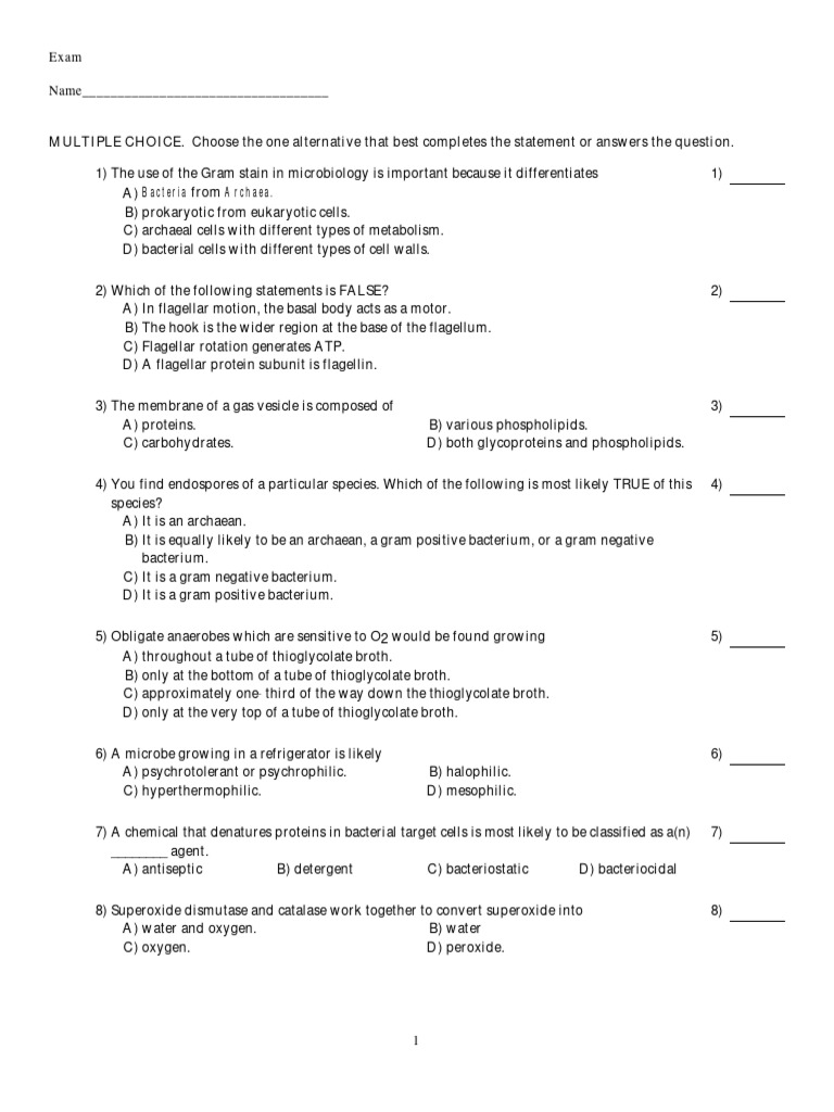 Exercise Questions | PDF
