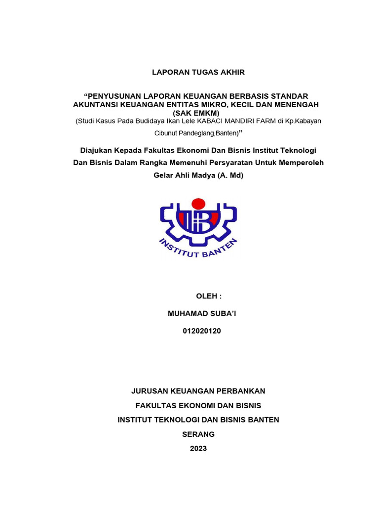 Laporan Keuangan UMKM Lele | PDF