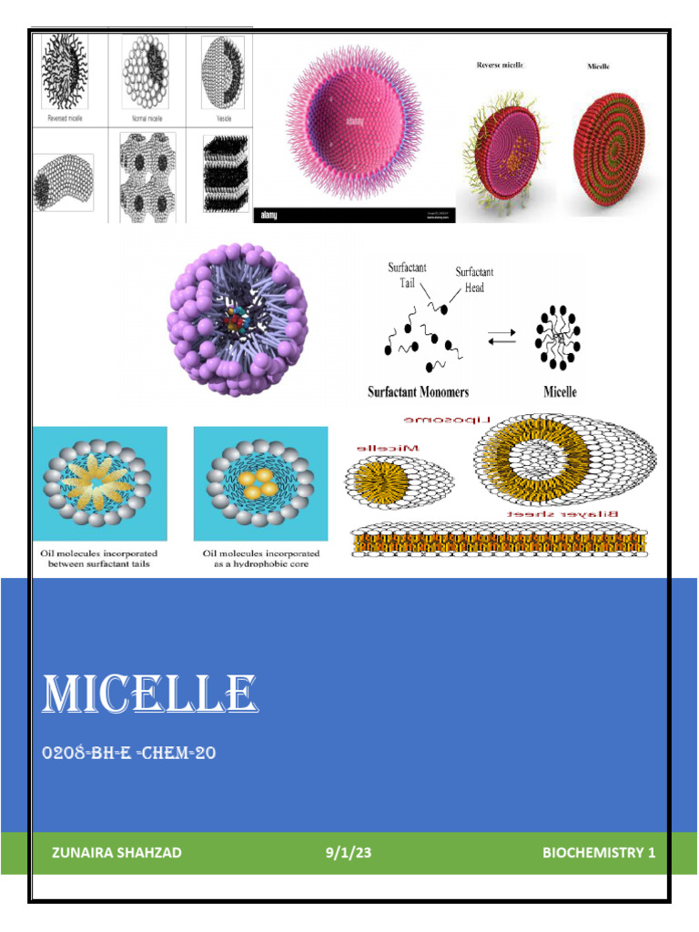 Micells | PDF | Surfactant | Soft Matter