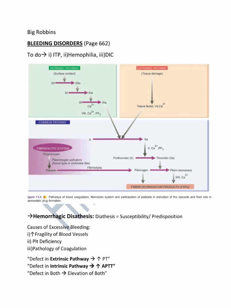 Bleeding Disorders | PDF