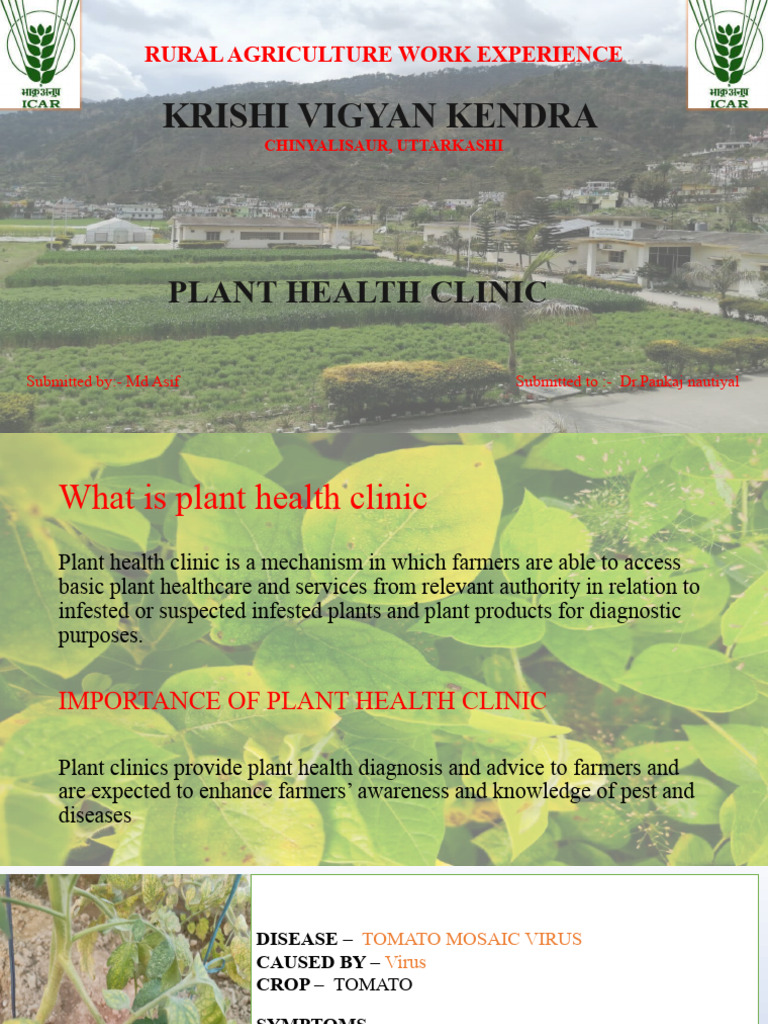 Farmers' Guide to Plant Health | PDF | Seed | Plants