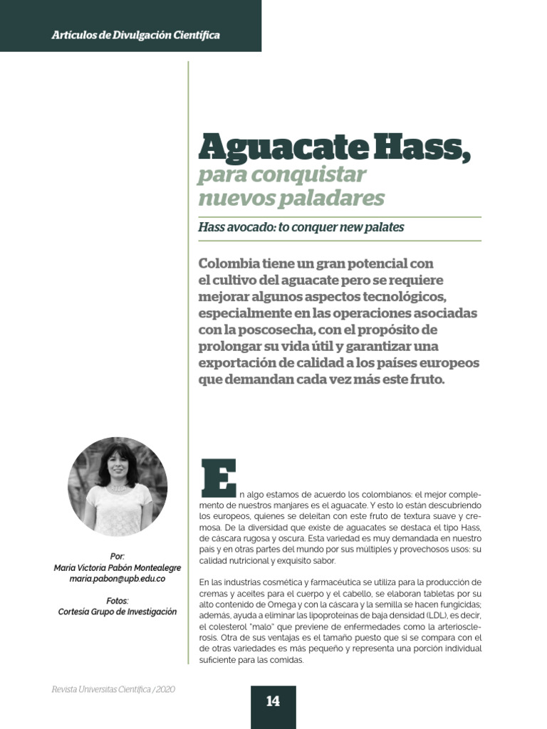 Ldavidvelasquez, Articulo 2 | PDF