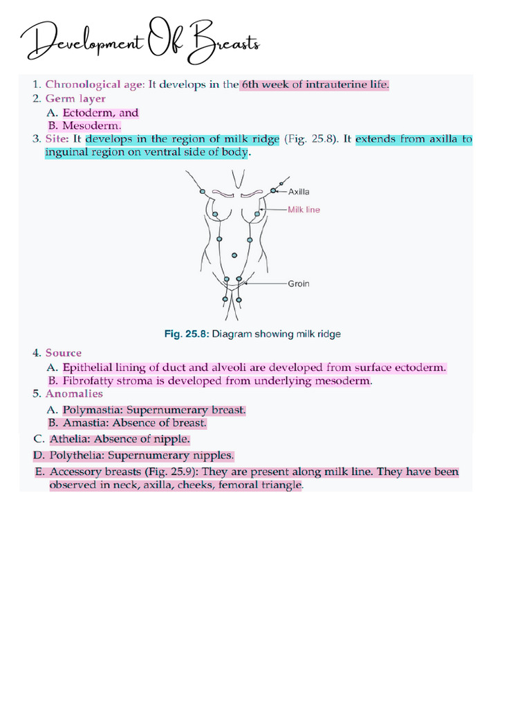 Development Of Breasts Pdf