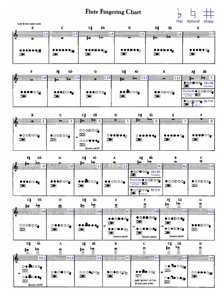 Fingering Charts - Combined | PDF