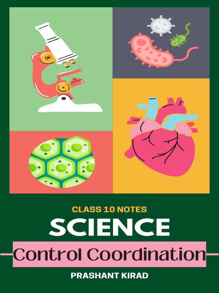Control Coordination (Prashant Kirad) | PDF | Neuron | Central Nervous System
