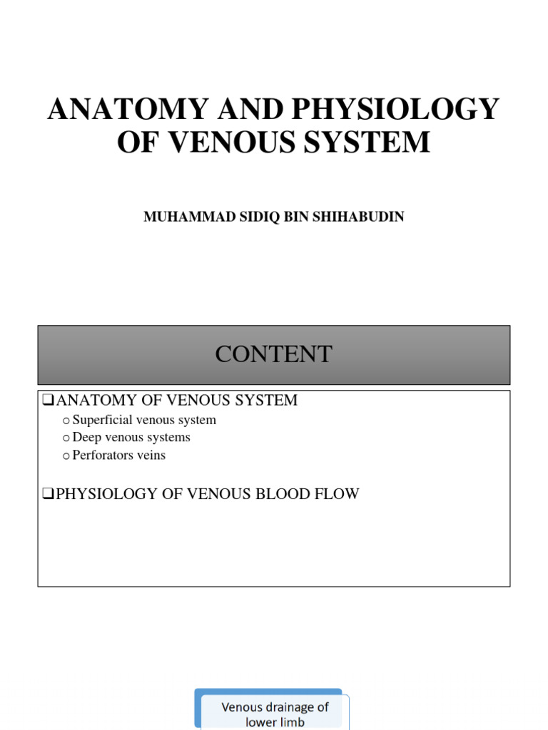 Anatomy & Physiology of the Venous System | PDF