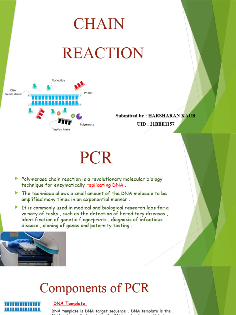 Polymerase Chain Reaction | PDF | Polymerase Chain Reaction | Primer (Molecular Biology)