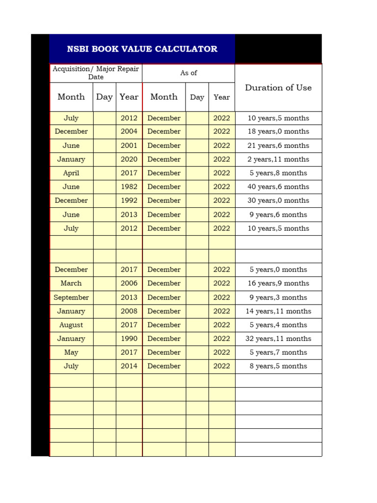Enhanced NSBI Book Value Calculator v2 | PDF | Depreciation | Balance Sheet