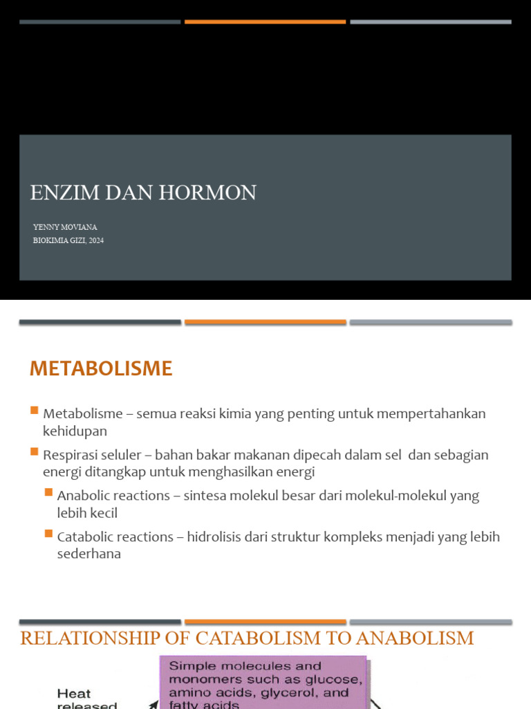 Enzim Dan Hormon 2024 | PDF | Sains & Matematika